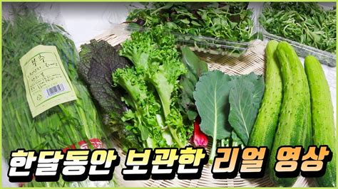 야채보관법 채소 오래 보관하는 팁 한달 보관한 리얼 영상 Youtube