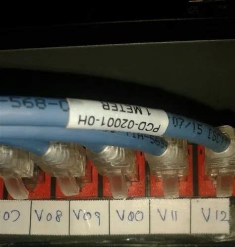 Passive Networking Service In Dombivli Id 6559870062