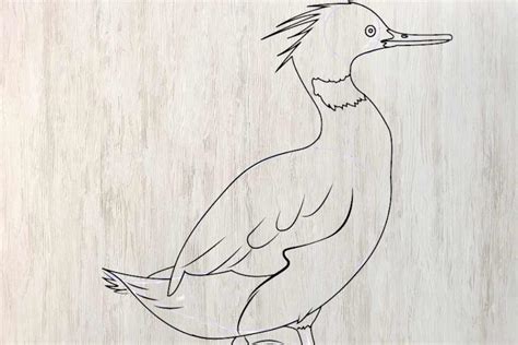 3 Stunning Types Of Duck Pyrography Hobbydisiac 3 Stunning Types Of Duck Pyrography Hobbydisiac