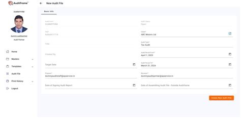 Audit File Auditframe Audit File Auditframe
