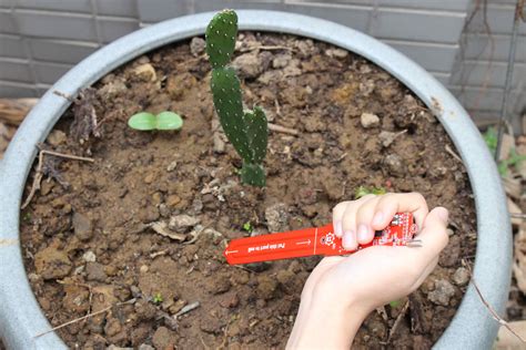 LoRaWAN Soil Moisture Sensor Instruction Manual Makerfabs Wiki