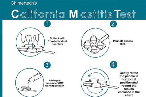 Mastitis Qué Es Y Cómo Prevenirla