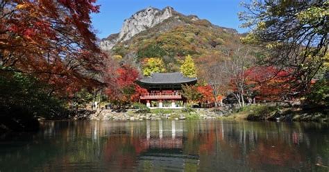 오색 단풍 절정행락객들 만산홍엽 속 가을 정취 만끽