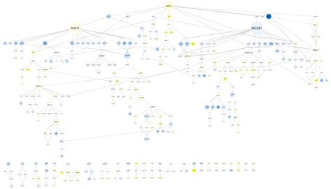 11 Navigation And Layout — Cytoscape User Manual 3 10 4 Documentation