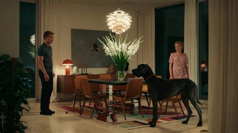 Peacock 2024 Mubi