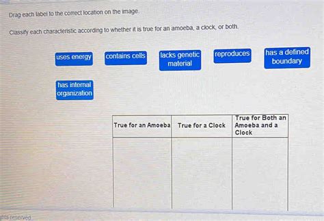 Drag Each Label To The Correct Location On The Image Classify Each Characteristic Accordi [algebra]
