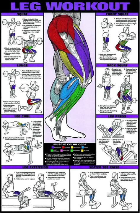 Leg Workout Poster Workout Posters Workout Gym Routine Best Gym Workout