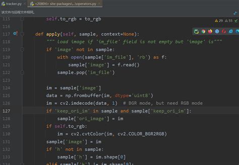 Deepsort Issue Paddlepaddle Paddledetection Github