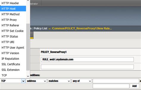 f5 bigip name based reverse proxy ltm policies