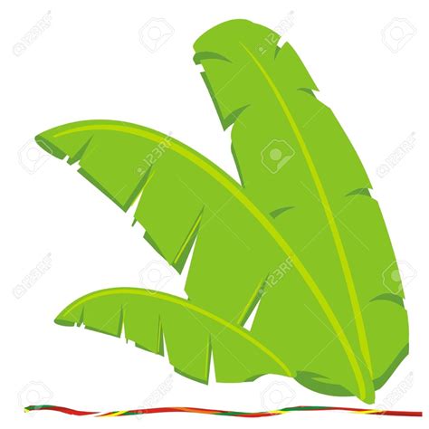 Banana Leaf Drawing At Getdrawings Free Download