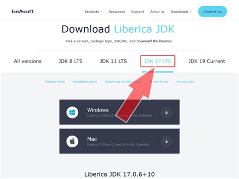 Java JDK Liberica JDK のインストール方法 OpenJDKとOpenFXでJavaFX開発環境を作る 飛行機と