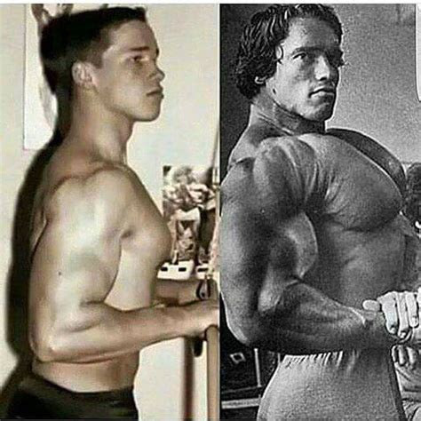 The Evolution Of Arnold Muscle Gaining Tips