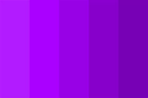 Bibi Viola Color Palette