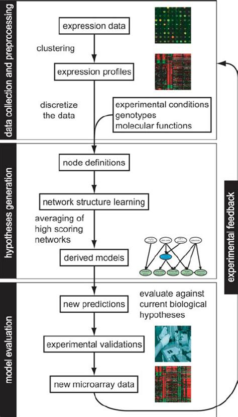 illustration of the iterative network learning and experimental