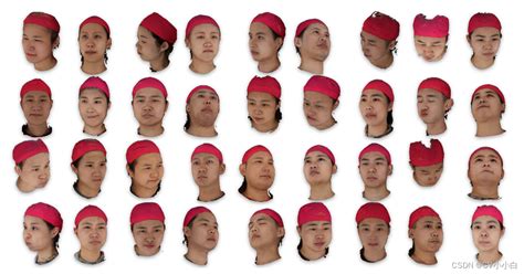 论文阅读笔记—eccv2022—mofanerf Csdn博客