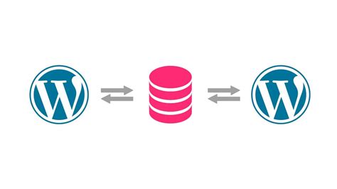 Install Multiple Wordpress In Single Database Wordpress Youtube