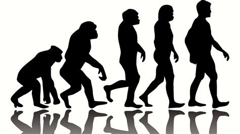 Human Evolution Wallpapers Wallpaper Cave