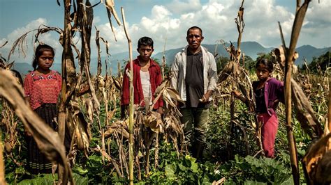 El Fenómeno Migratorio Concepto Tipos Causas Y Consecuencias De La