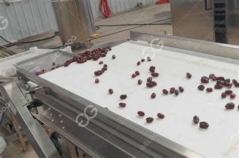 Dates Fruits Washing Drying Grading Processing Machinery