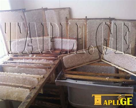 თაფლი Tapli Ge თაფლი თაფლის არაყი ცვილი სხვა თაფლი