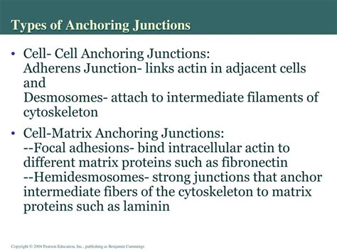 Anchoring Junctions Examples At Oscar Corey Blog