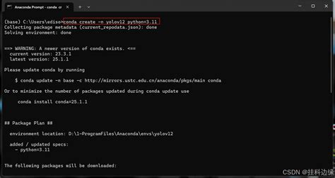 Yolov12环境配置，手把手教你使用yolov12训练自己的数据集和推理附yolov12网络结构图，全文最详细教程yolov8v11
