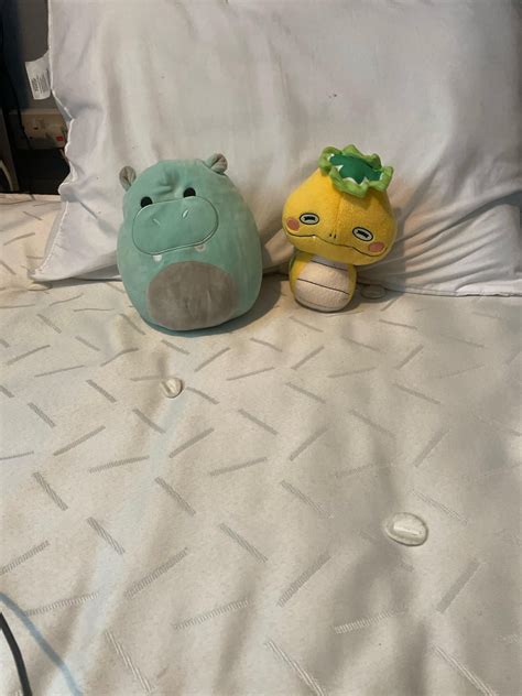 Noko And His Best Friend R Yokaiwatch