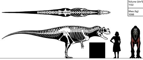 Ceratosaurus Vs Majungasaurus Fandom