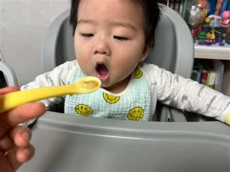 9개월아기 해외여행 준비 실온이유식 맘마밀 내돈내산 네이버 블로그