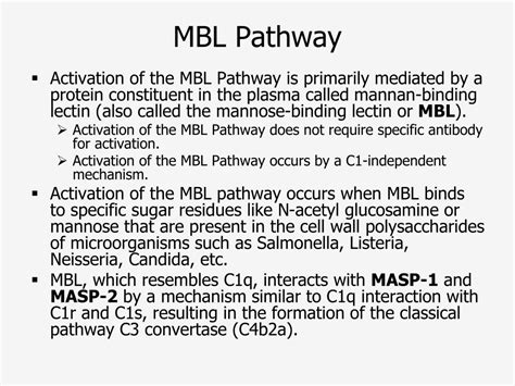 Ppt The Complement System Powerpoint Presentation Free Download Id 2348392