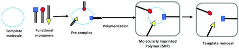 A Generic Schematic Illustration For Mip Synthesis The First Step