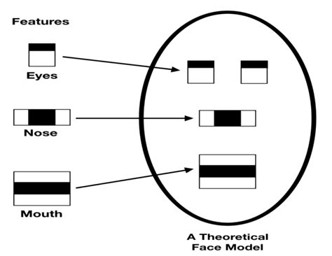 Rectangular Frames To Detect Face Download Scientific Diagram