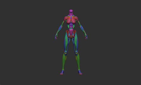 3d Woman Anatomy Constructor Model Turbosquid 2286244