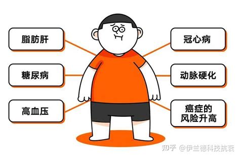 请大家重视一下内脏脂肪这也许是你减肥减不下去的原因 知乎