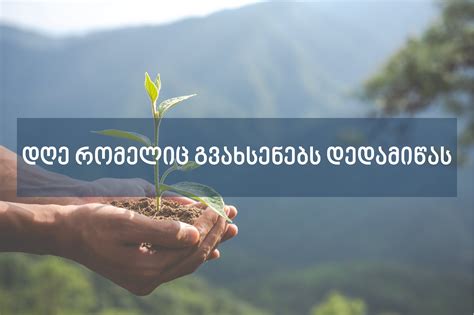 Chemicals Coating Trading• იტალიური ლაქ საღებავები 824 Photos 2 Reviews Industrial Company