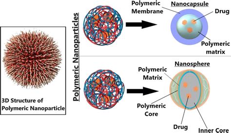 The 2 Types Of Polymeric Nanocarriers—nanosphere And Nanocapsule—are Download Scientific