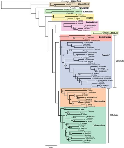 Maximum Likelihood Ml Tree Inferred From Full Set Of Taxa With W