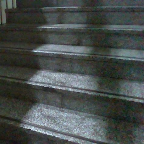 Data Train1 Object Detection Dataset And Pre Trained Model By Train1