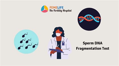 Sperm DNA Fragmentation Test FEMELIFE