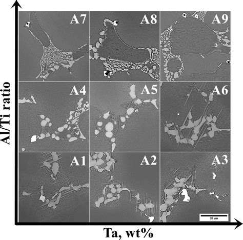 Morphology Of Precipitates In The Interdendritic Spaces Of The A1 A9 Download Scientific