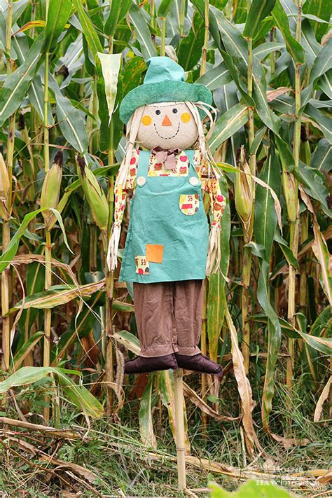 Diy Scarecrow Tutorial House Of Hawthornes