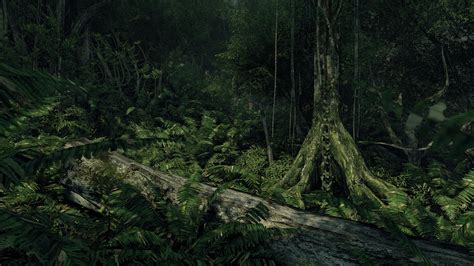 Dev Image Crysis Nexus Mod For Crysis ModDB Dev Image Crysis Nexus Mod For Crysis ModDB