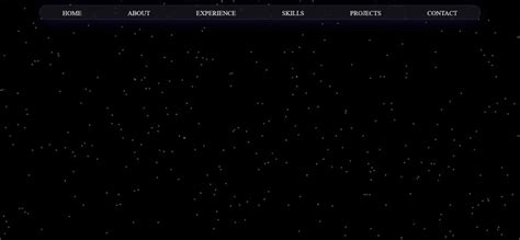 Video Meet Bikhani On Linkedin Portfoliowebsite Webdevelopment