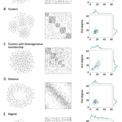 Schematic Representation Of The Models Connectivity Left Adjacency Download Scientific