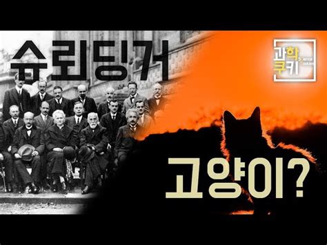 솔베이 전쟁 그리고 슈뢰딩거 고양이 양자역학 Last Part