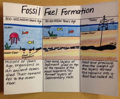 How Do Fossil Fuels Form Apex Form
