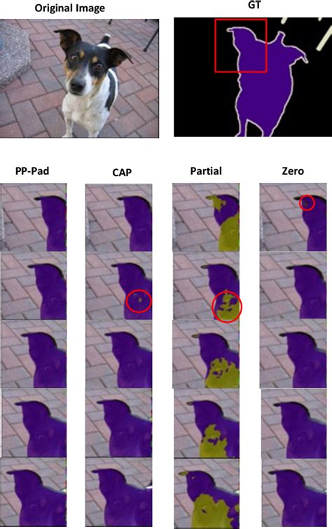 Figure From Improving Translation Invariance In Convolutional Neural Networks With Peripheral
