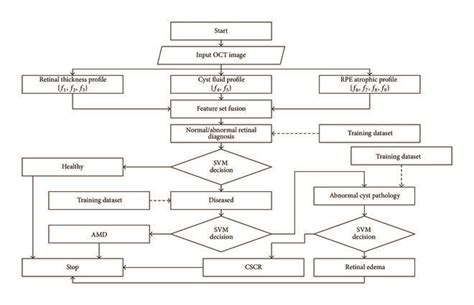 Flowchart Of Classification Algorithm Download Scientific Diagram