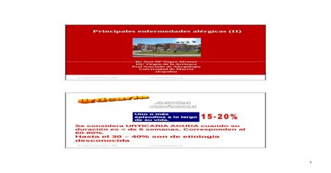 Principales Enfermedades Alérgicas Ii Alergomurcia · • En Relación