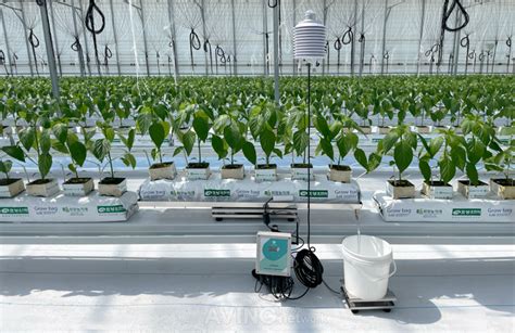 아이오크롭스 2025 농식품 테크 스타트업 창업 박람회서 Ai 기반 온실 자율주행 로봇 선보인다 온실의 효율성·생산성 높여”